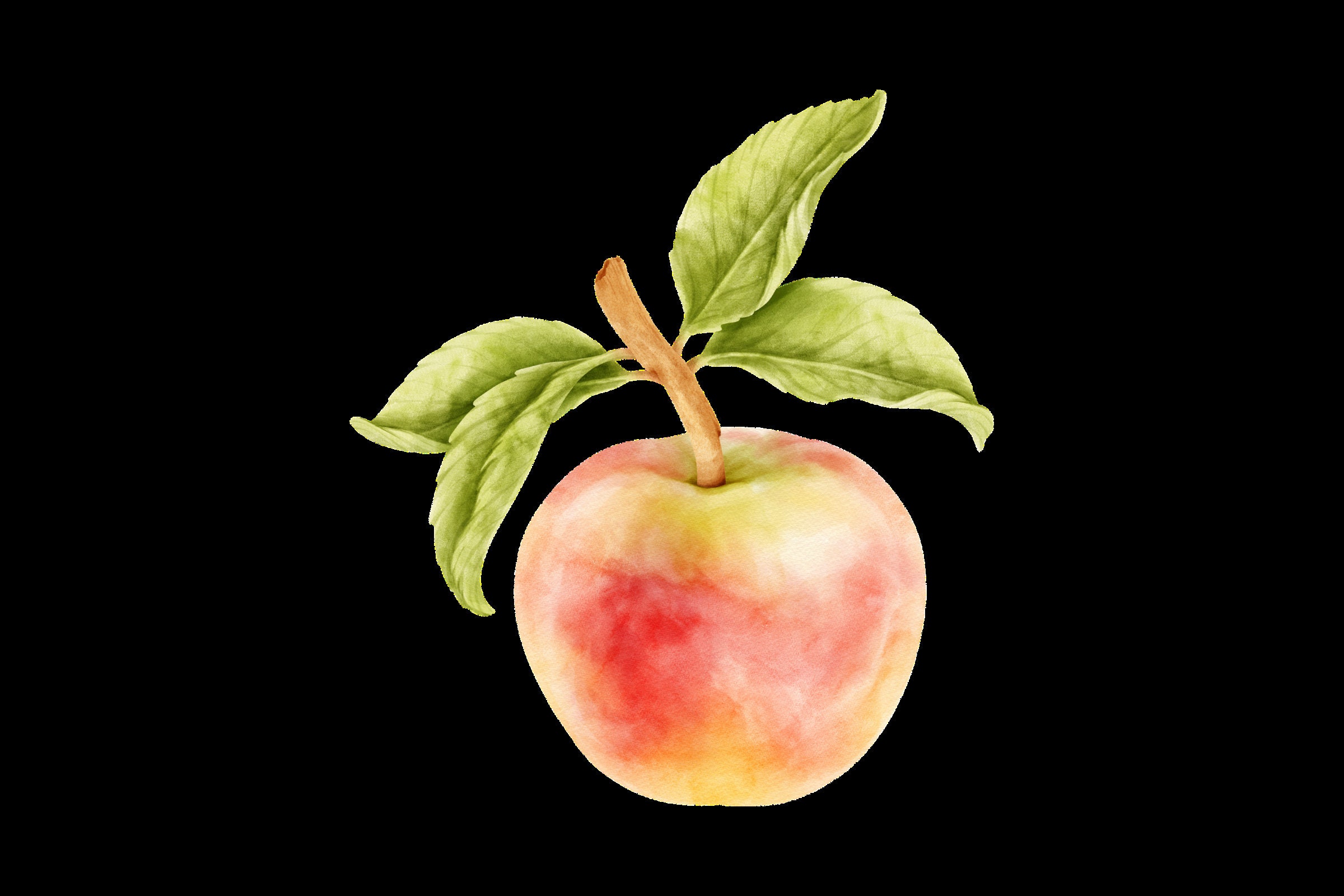 Watercolor Apples Clipart Bundle 50 SVG PNG, Fruit Clipart, Apple ...