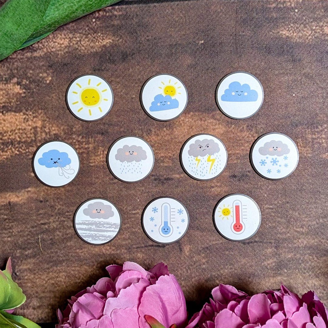 Weather Magnet Set, Round, Visual Climate Magnets, Illustrated, Durable ...