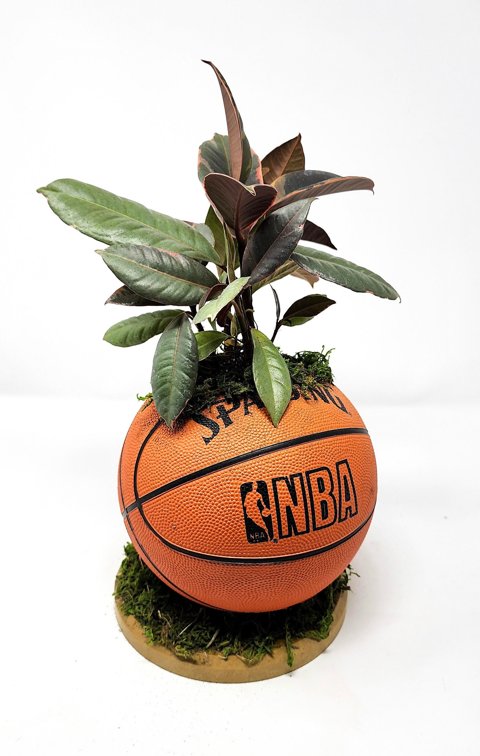 Custom Basketball Planter Unique Planter Sports Fan Planter - Etsy