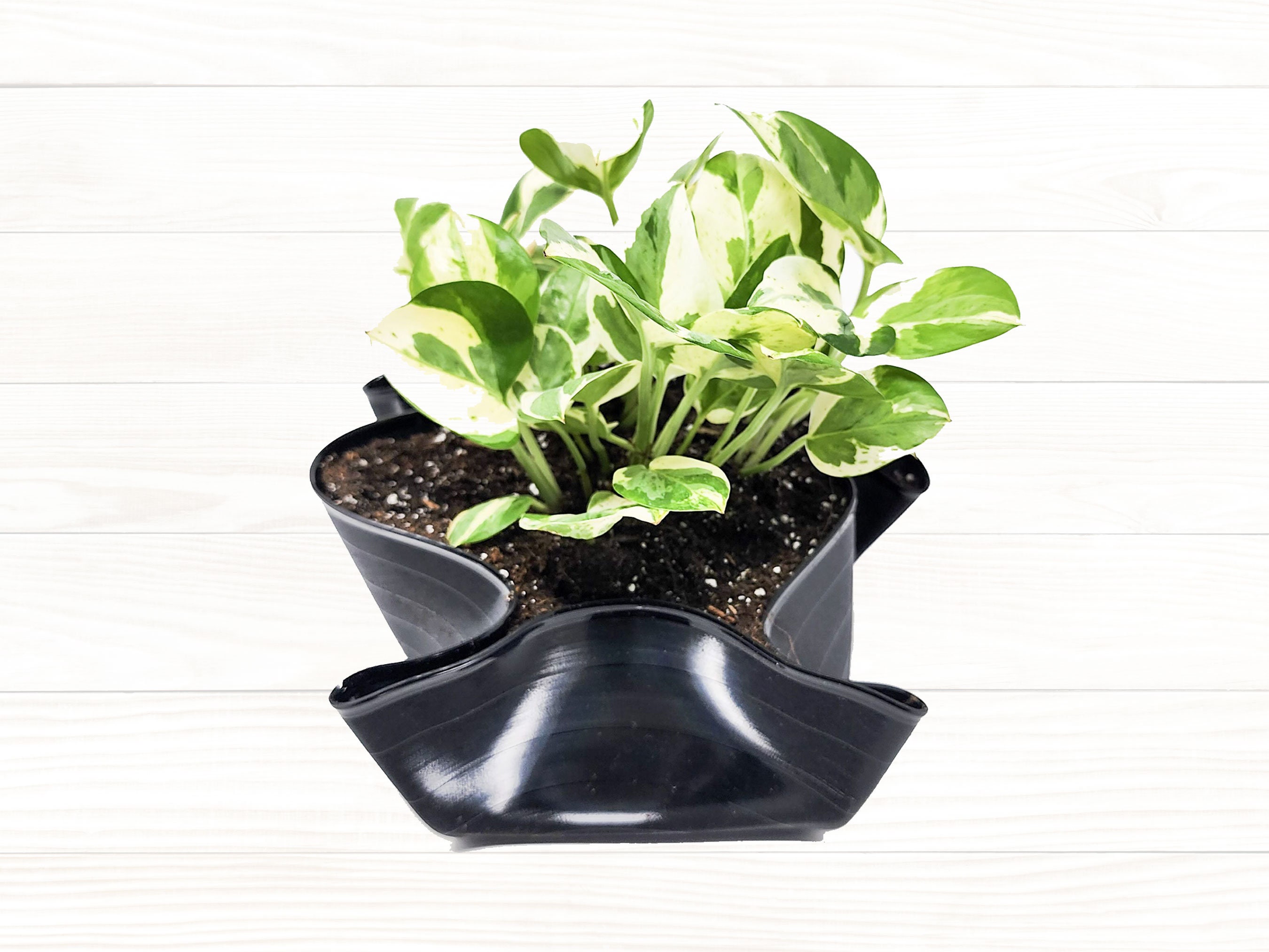 Repurposed Vinyl Record Planter, Vintage Planter, Melted Vinyl Planter ...