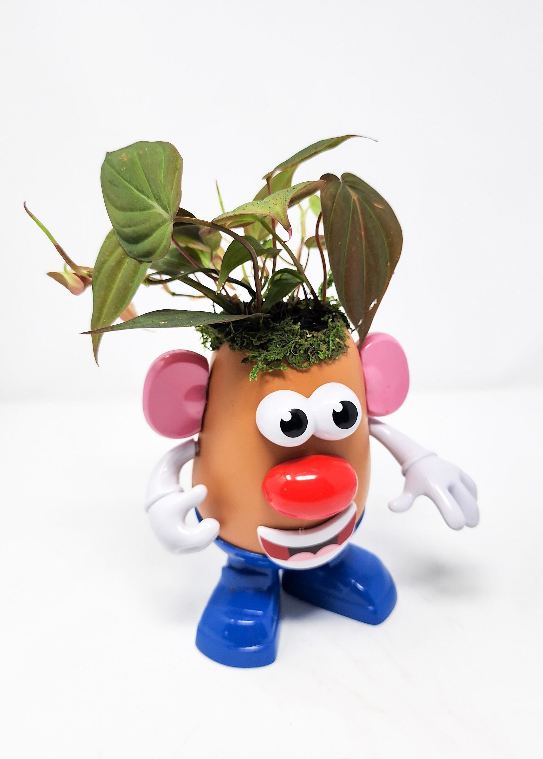 Mr Potato Head Planter, Retro Inspired Planter, Vintage Toy Planter - Etsy