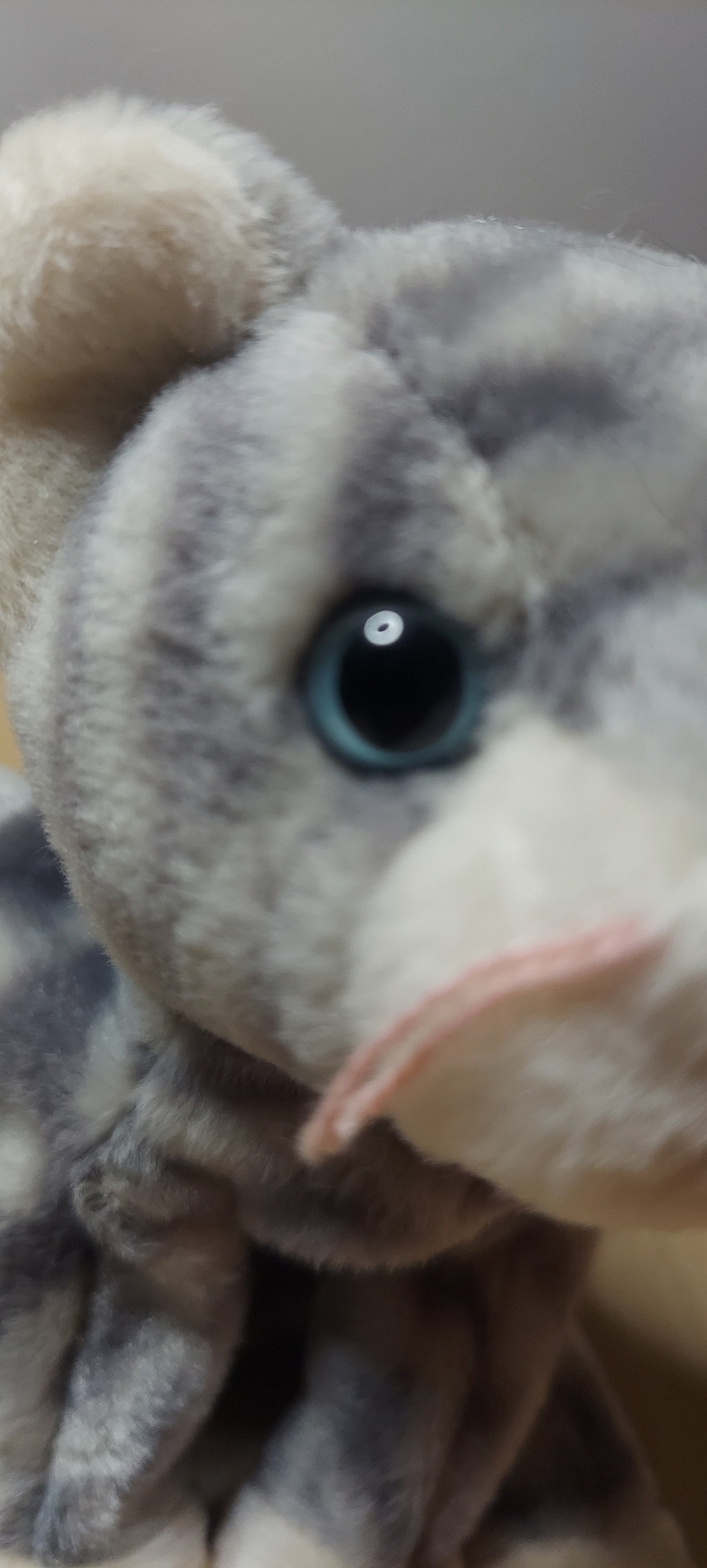 Rare Silver Beanie Baby - Etsy