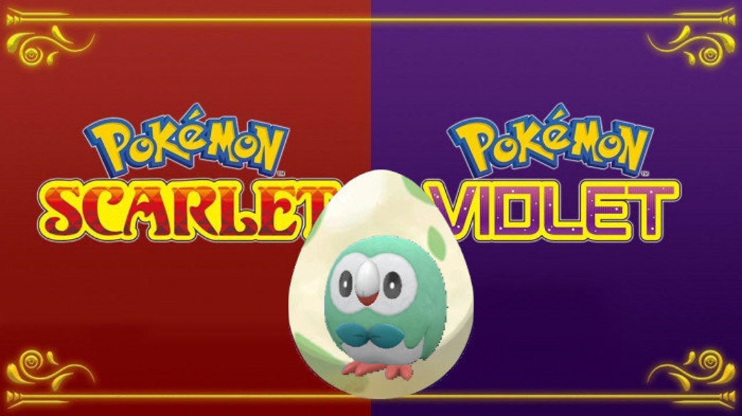 Pokémon Scarlet/violet 6iv Hidden Ability Shiny Rowlet - Etsy