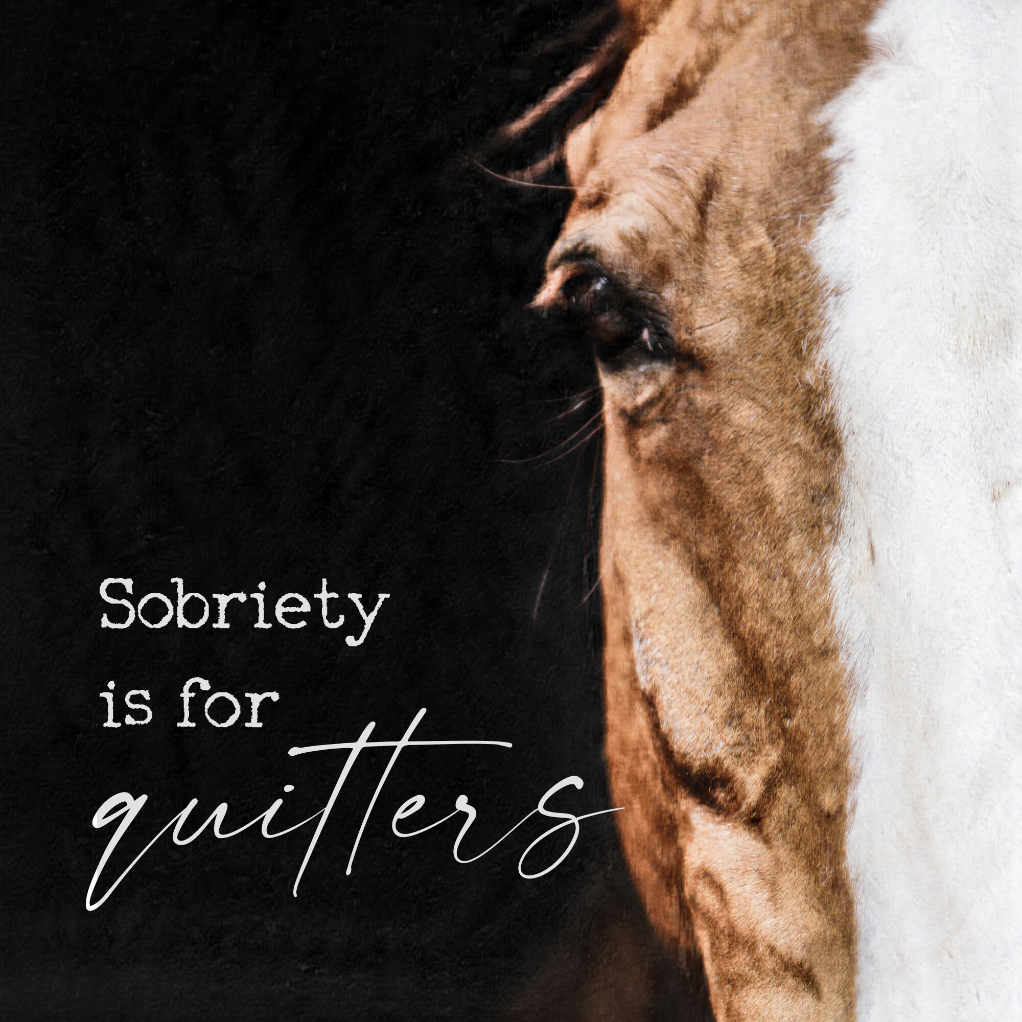 Sobriety is for Quitters Square Wall Art Decor and Poster - Etsy