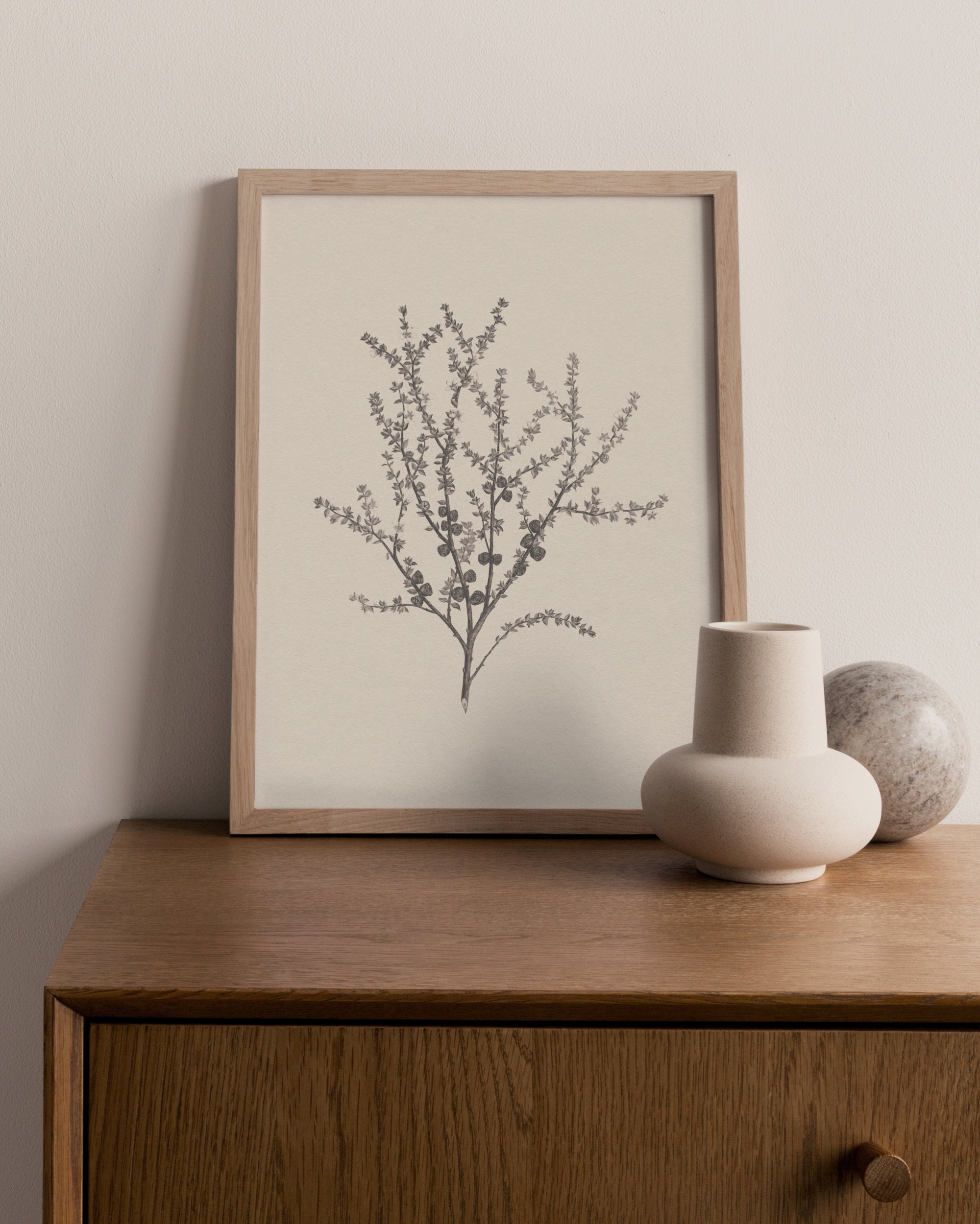 Vintage Plant Drawing Art Print - Rustic Fern Sketch, Neutral Still ...