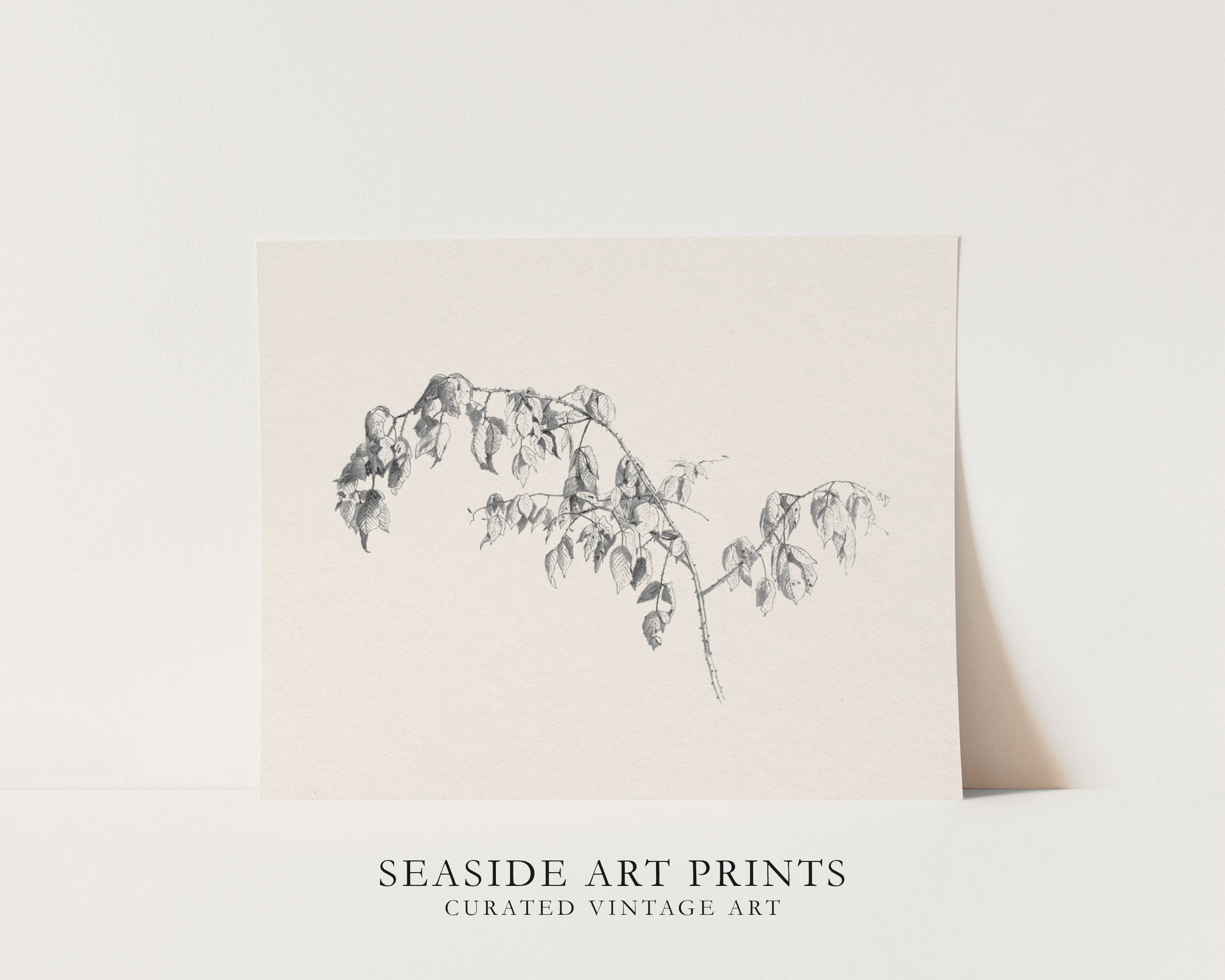 Neutral Botanical Sketch Art Print Vintage Tree Branch - Etsy