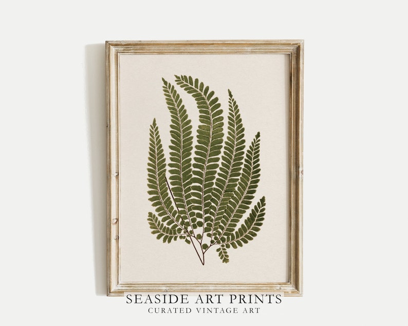 Antique Pressed Fern - Botanical Art Print, Vintage Pressed Fern Leaf ...