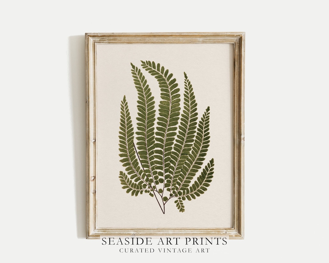 Vintage Pressed Fern - Botanical Art Print, Antique Pressed Fern Leaf ...