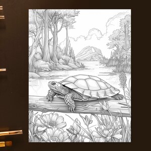 Summer Forest Wildlife Adult Coloring Pages, Nature Landscape Grayscale ...