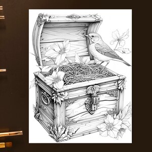 Whimsical Treasure Chests Adult Coloring Pages, Magical Worlds and ...