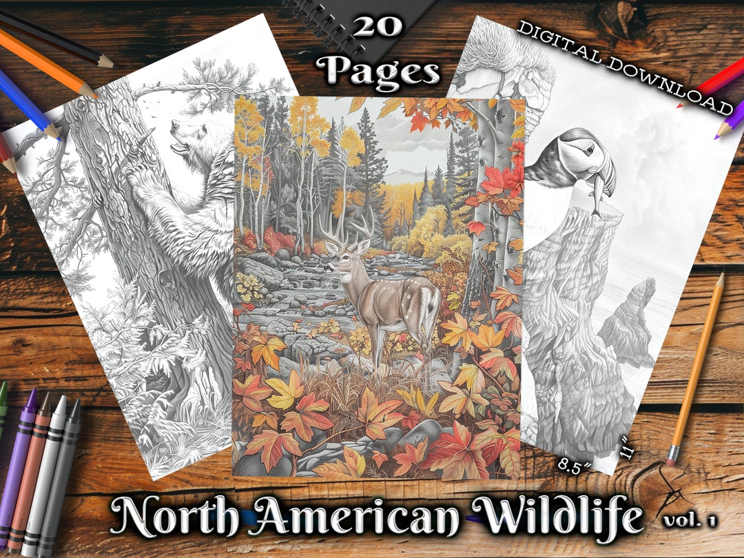 North American Wildlife Adult Coloring Pages | Nature Landscapes ...
