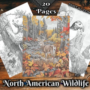 North American Wildlife Adult Coloring Pages | Nature Landscapes ...