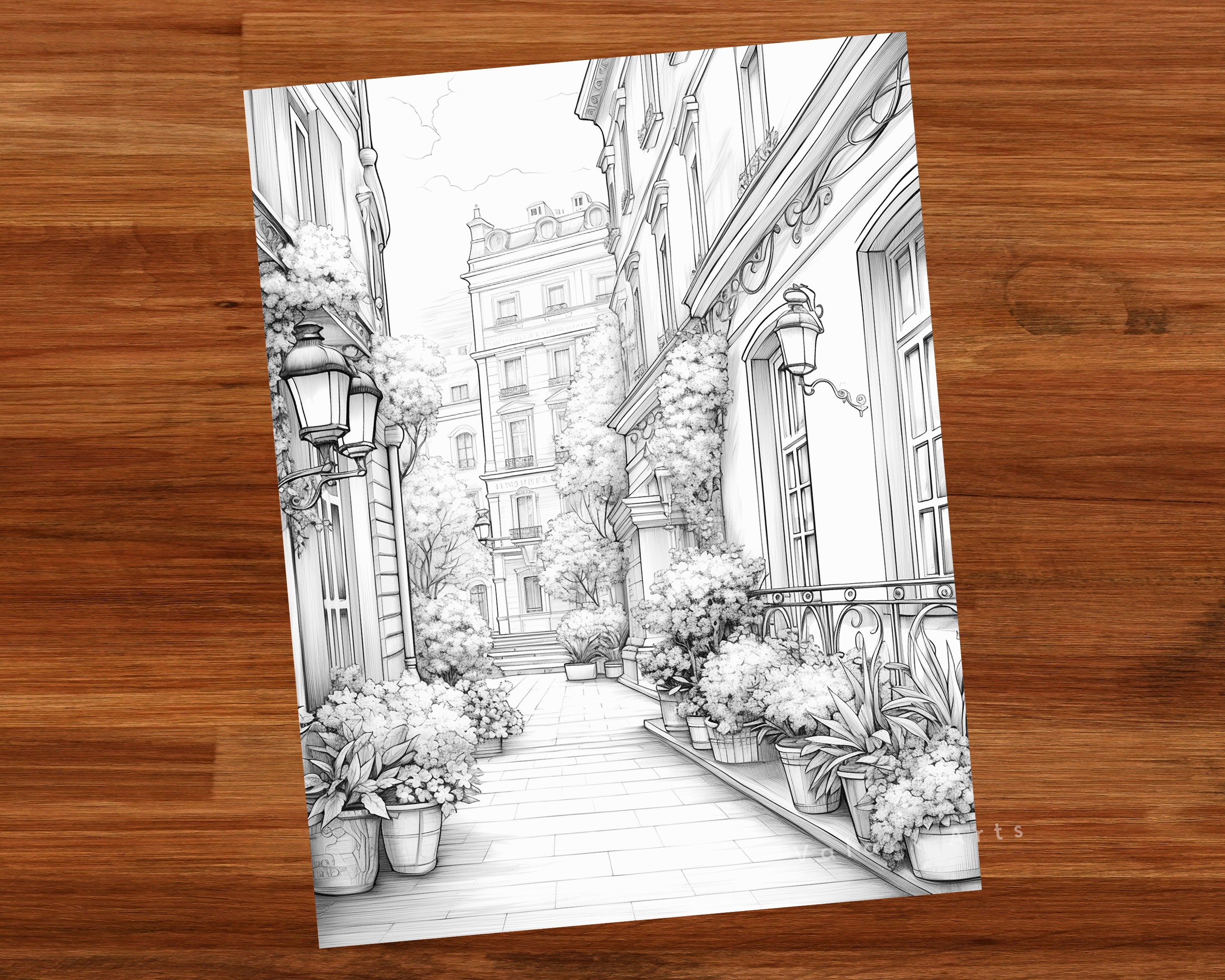 Beautiful City Alleys Adult Coloring Book Beautiful Landscapes ...