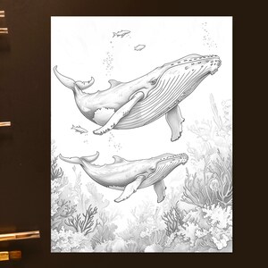 Ocean Worlds Adult Coloring Pages, Nature Wildlife Landscape Grayscale ...