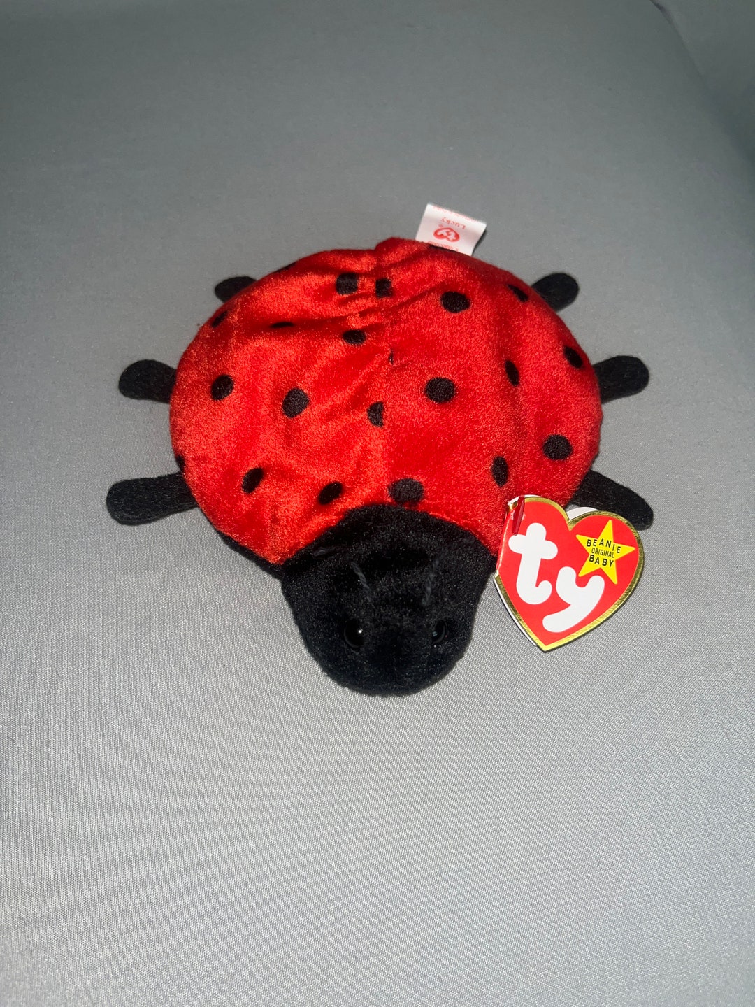 Lucky the Ladybug Beanie Baby Rare Collectors Item - Etsy