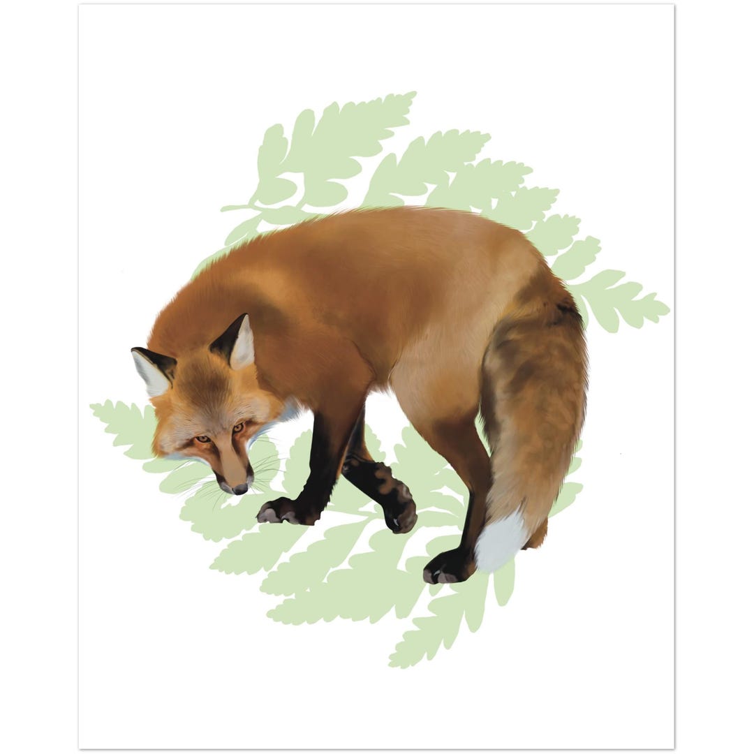 Fox Illustration, Fine Art Print of Original Digital Drawing, Unique ...
