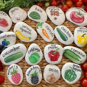 Vegetable Garden Rocks (variety) - Etsy