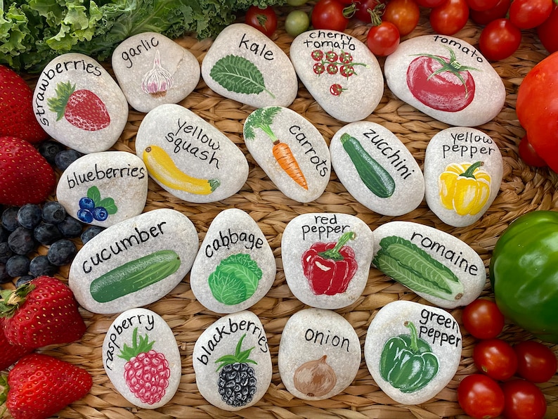 Vegetable Garden Rocks (variety) - Etsy