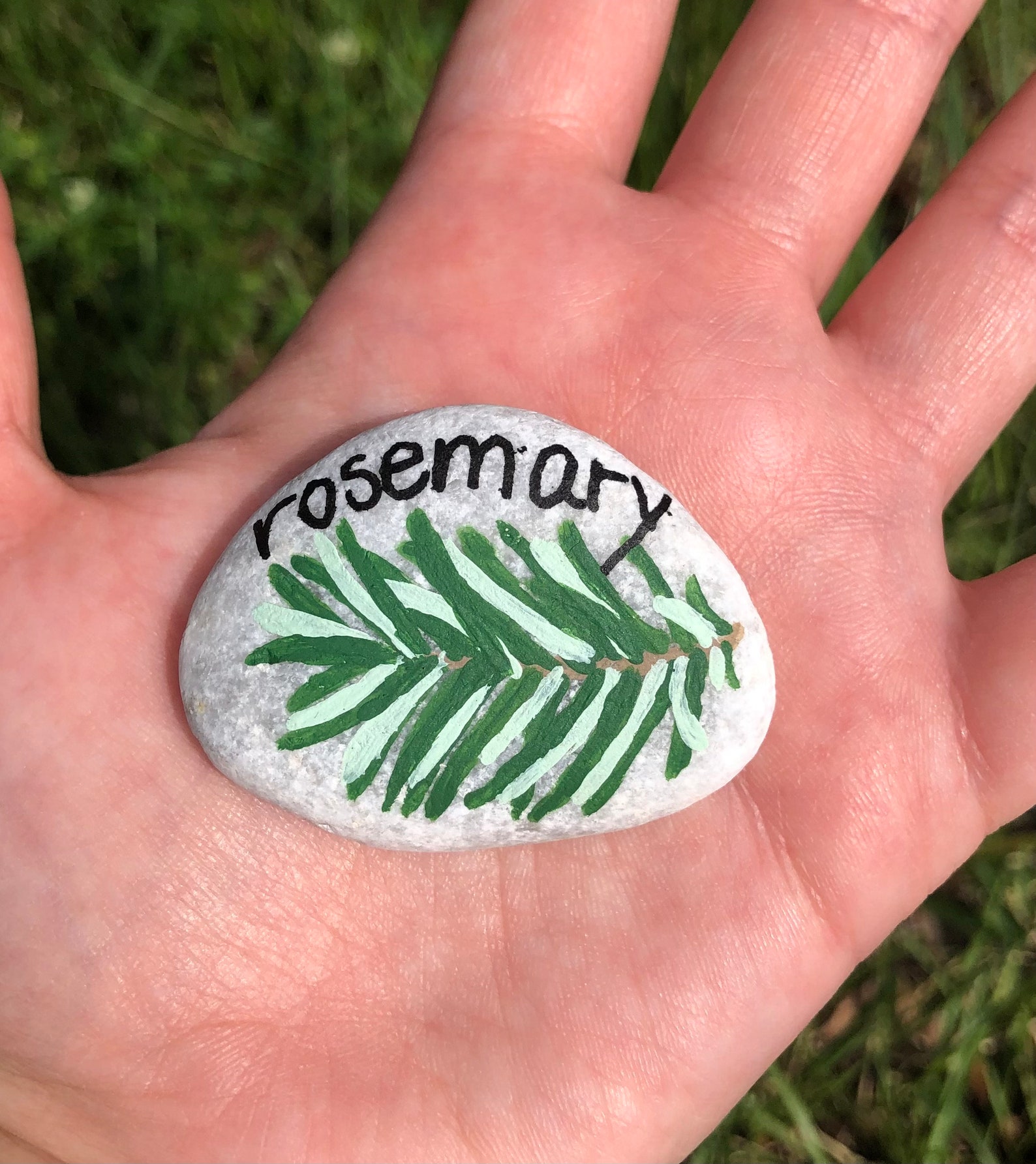 Herb Garden Rocks Hand-painted Set of 8 sage, Thyme, Rosemary, Cilantro ...
