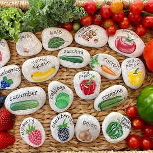 Vegetable Garden Rocks (variety) - Etsy