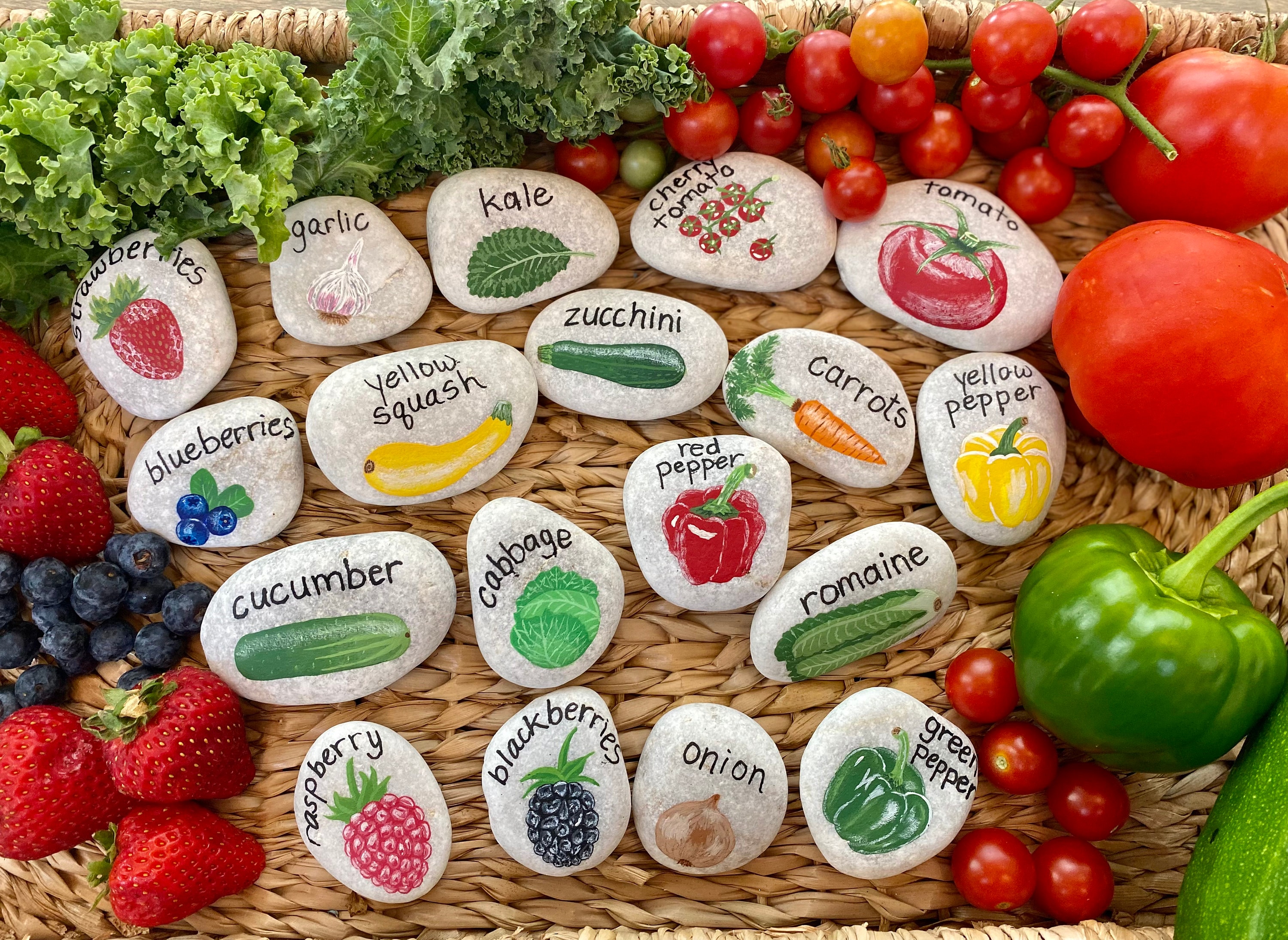 Vegetable Garden Rocks (variety) - Etsy