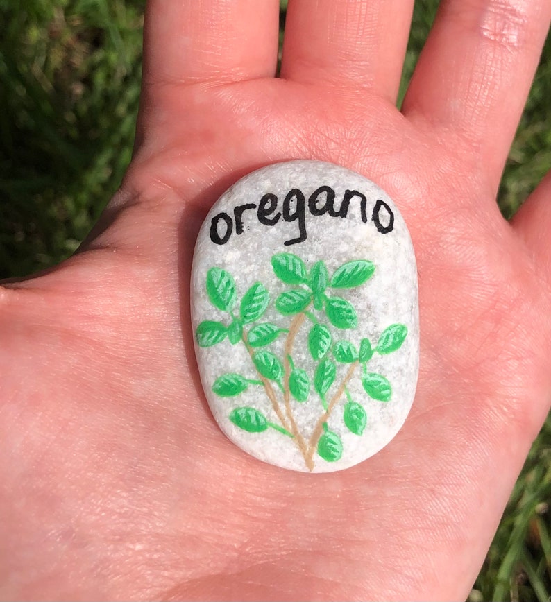 Herb Garden Rocks Hand-painted Set of 8 sage, Thyme, Rosemary, Cilantro ...
