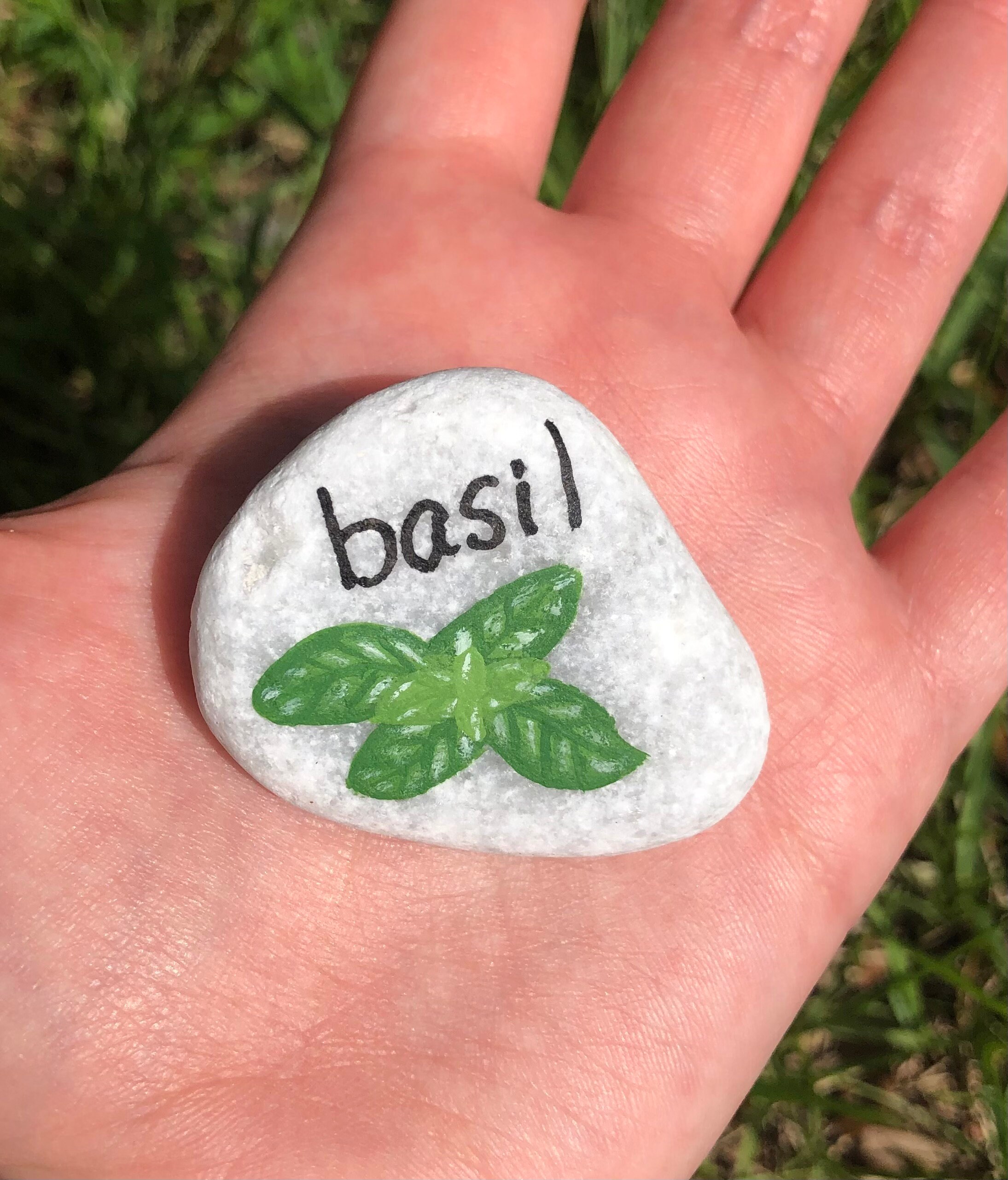 Herb Garden Rocks Hand-painted Set of 8 sage, Thyme, Rosemary, Cilantro ...