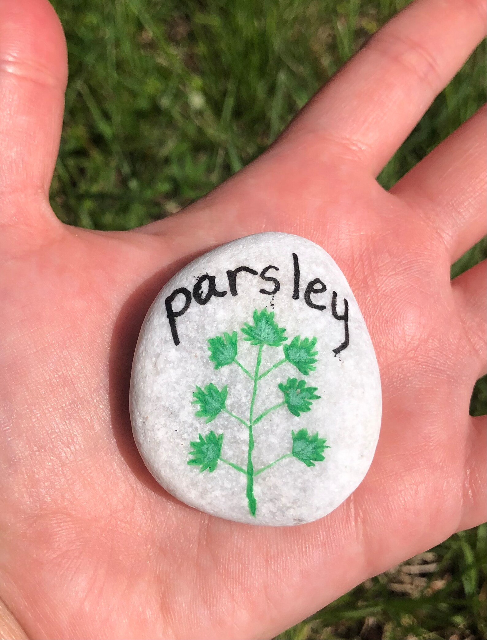 Herb Garden Rocks Hand-painted Set of 8 sage, Thyme, Rosemary, Cilantro ...