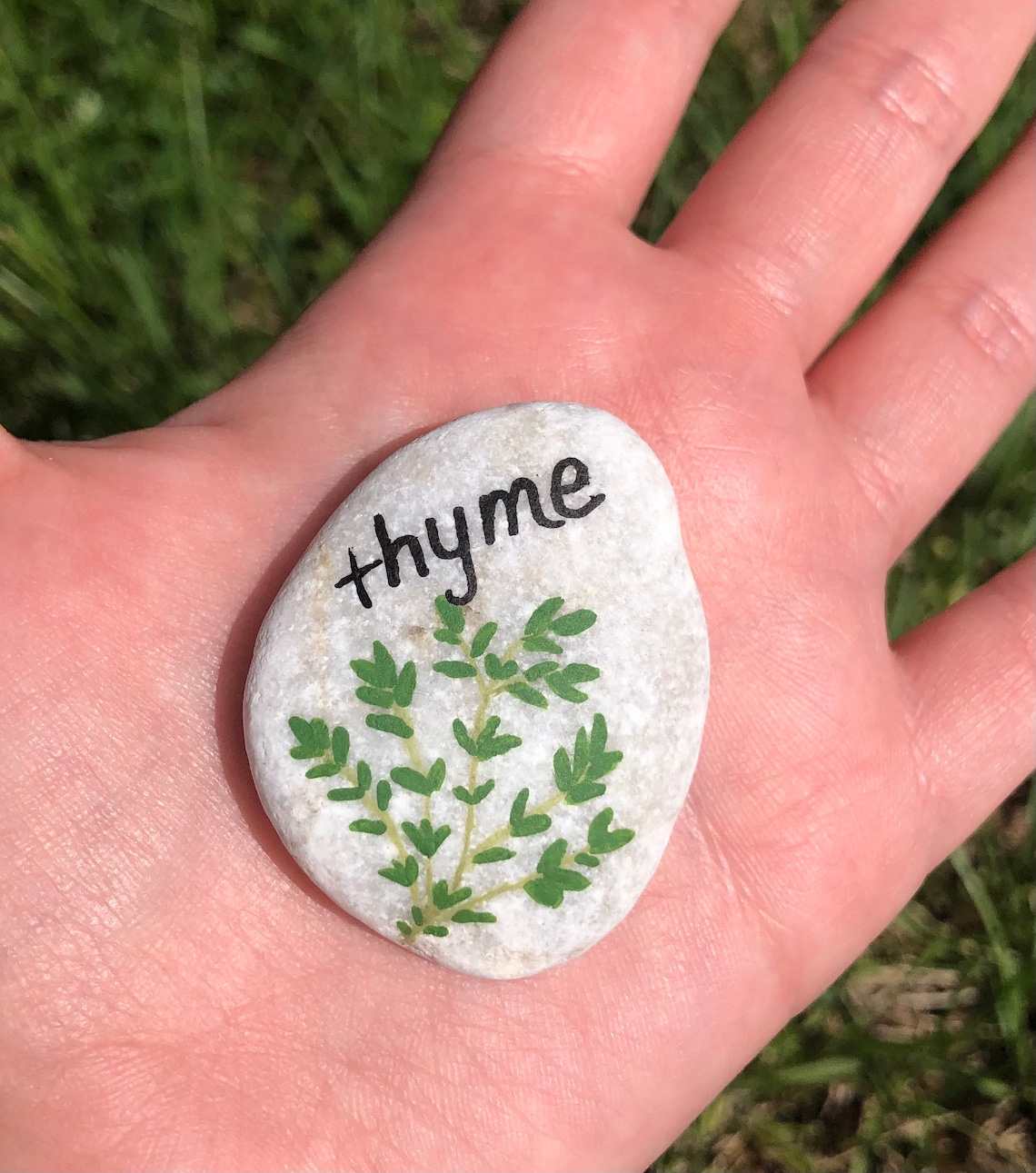Herb Garden Rocks Hand-painted Set of 8 sage, Thyme, Rosemary, Cilantro ...