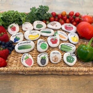 Vegetable Garden Rocks (variety) - Etsy