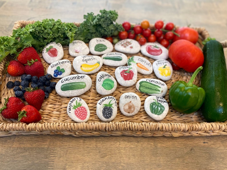 Vegetable Garden Rocks (variety) - Etsy