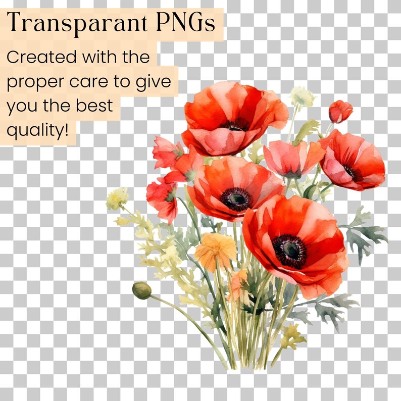 24 Watercolor Birth Month Flower Clipart, Birth Month Floral, Seasonal ...