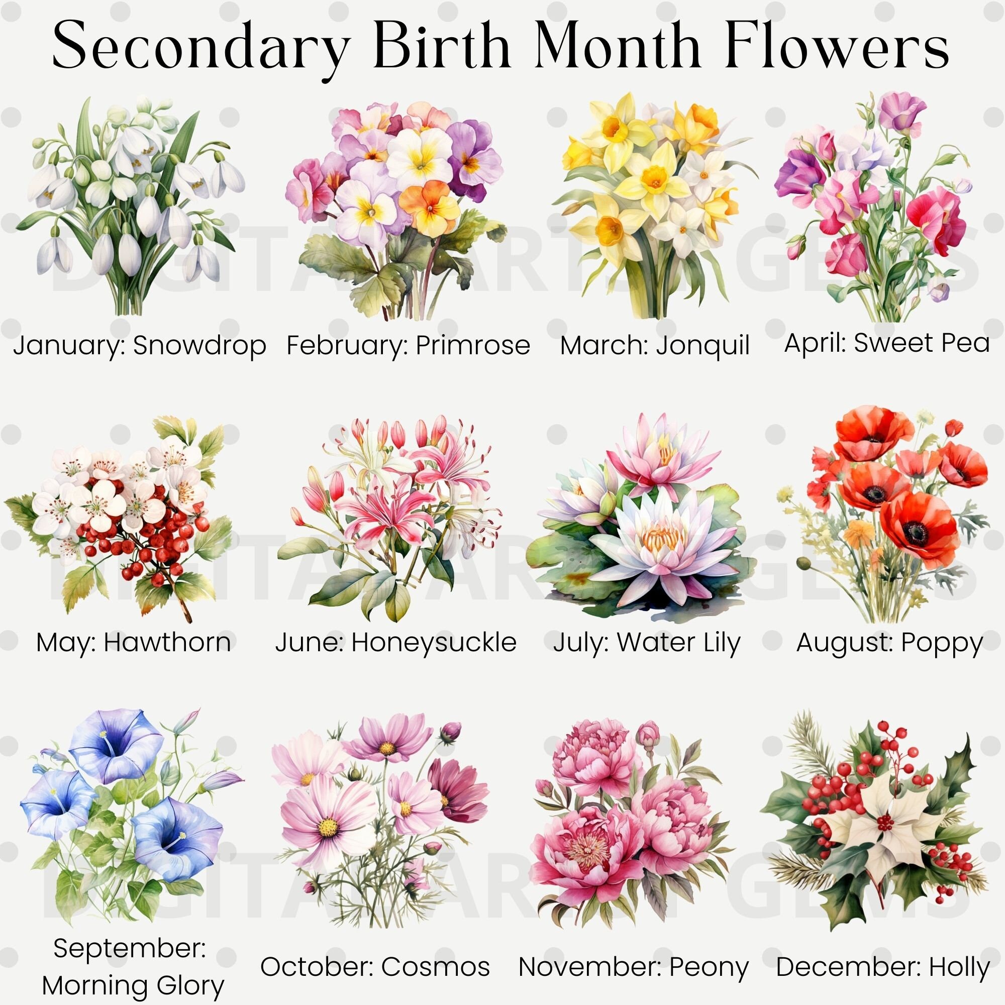 24 Watercolor Birth Month Flower Clipart, Birth Month Floral, Seasonal ...