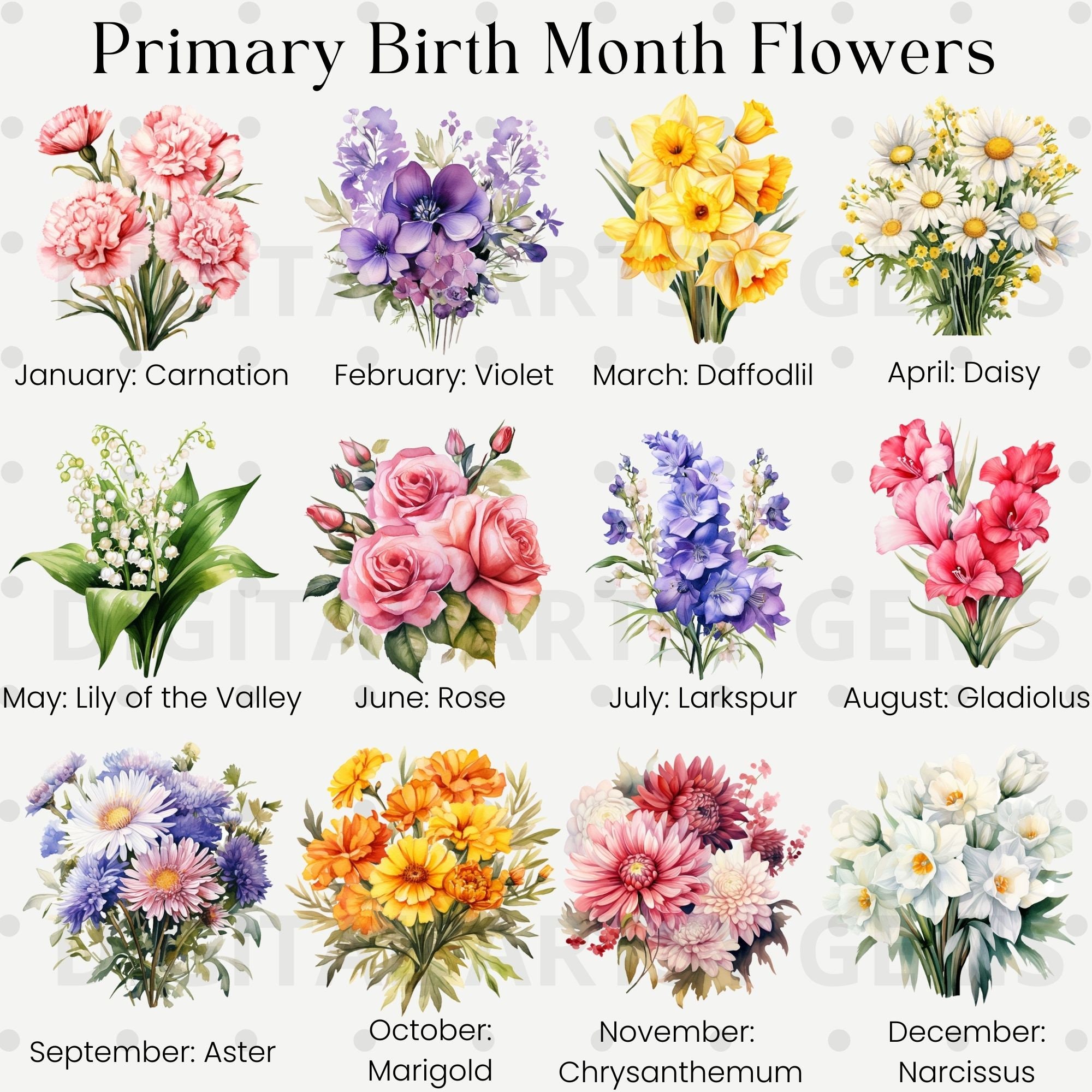 24 Watercolor Birth Month Flower Clipart, Birth Month Floral, Seasonal ...
