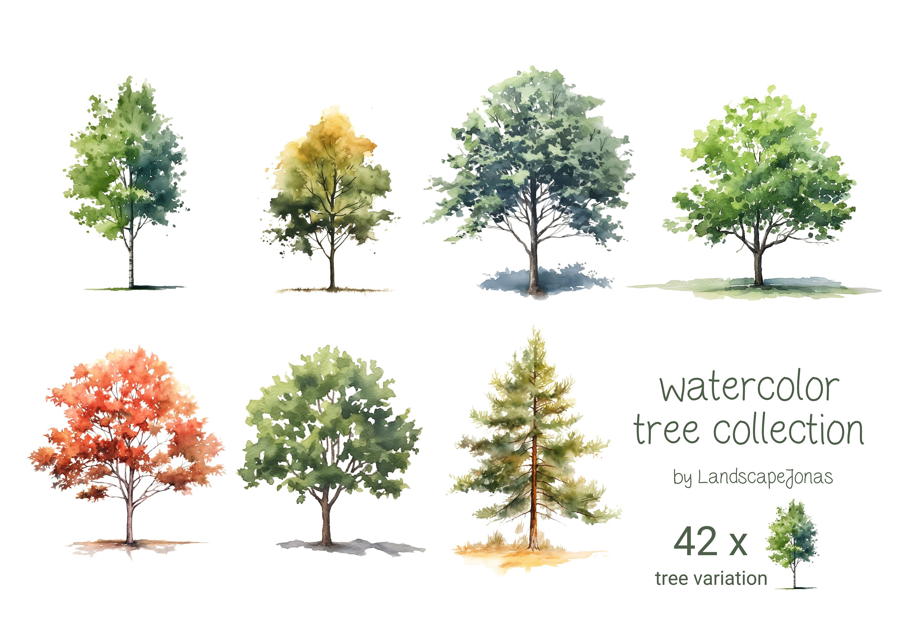 Watercolor Trees Digital Clipart Set 7 Different Types of Trees Digital ...