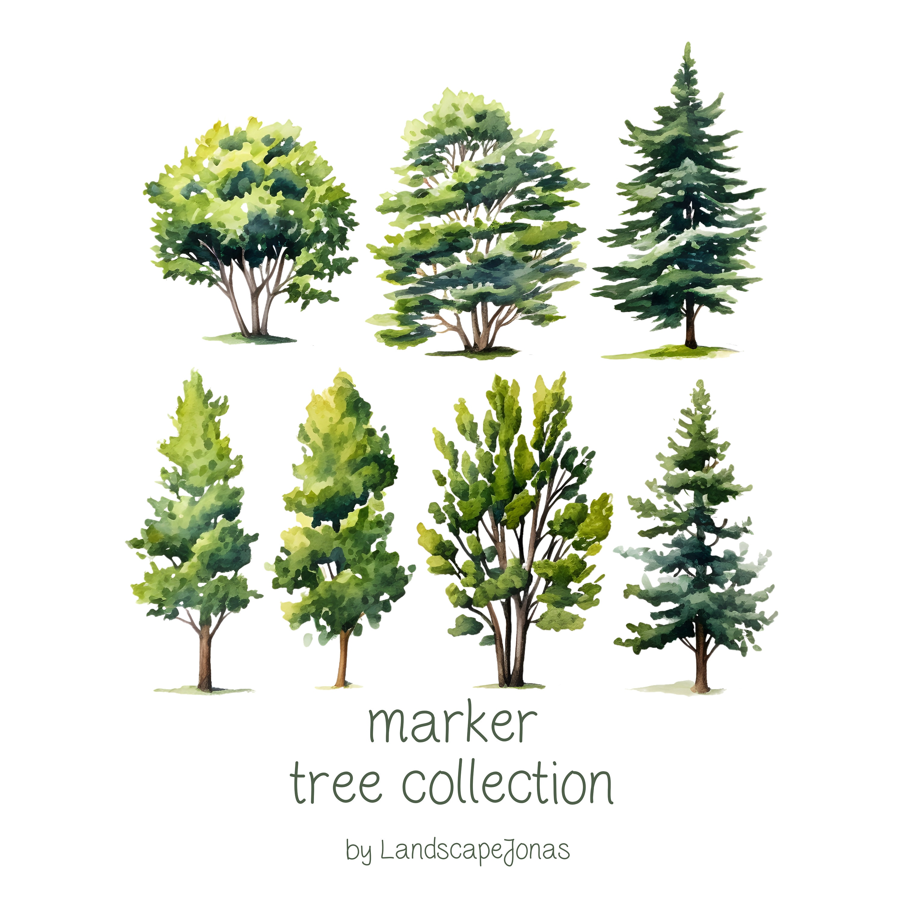 Marker Trees Digital Clipart Set 7 Trees Digital Collage Floral ...