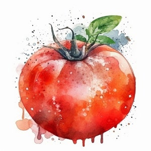 Set of 4* Tomato Watercolor Art Files - Etsy