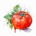 Set of 4* Tomato Watercolor Art Files - Etsy