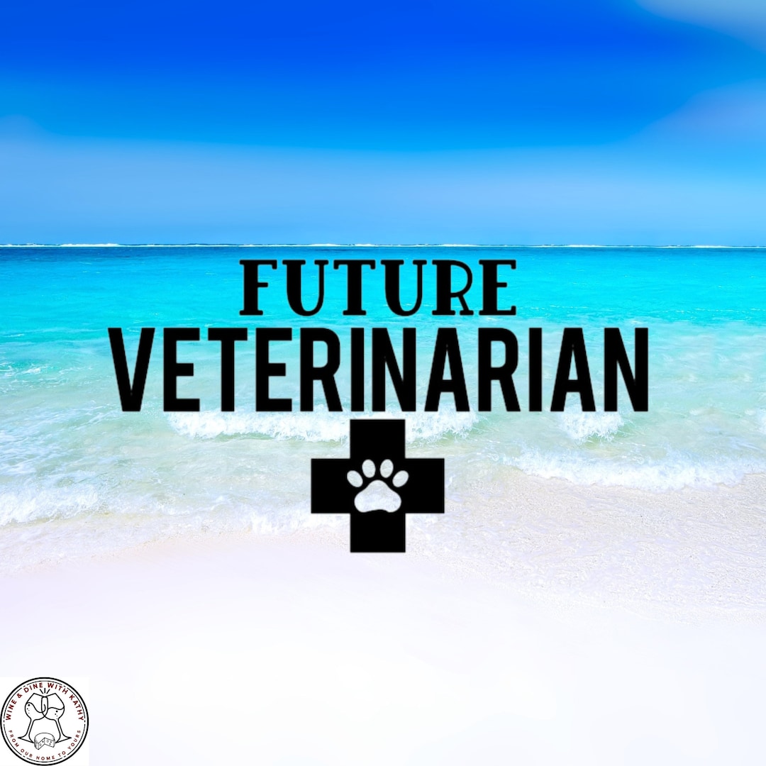 Future Veterinarian Decal, Future Vet Gift, Car Decal, Wall Decal ...