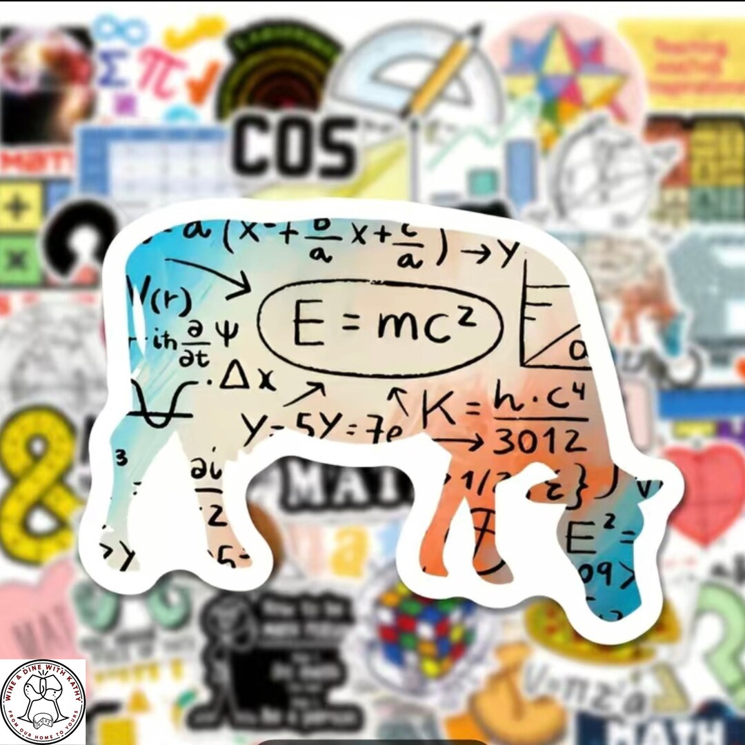 Math Stickers Math Teacher Stickers Einstein Random Sticker - Etsy