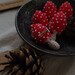 Silk Toadstool Brooch Embroidered With Glass Beads a Unique - Etsy