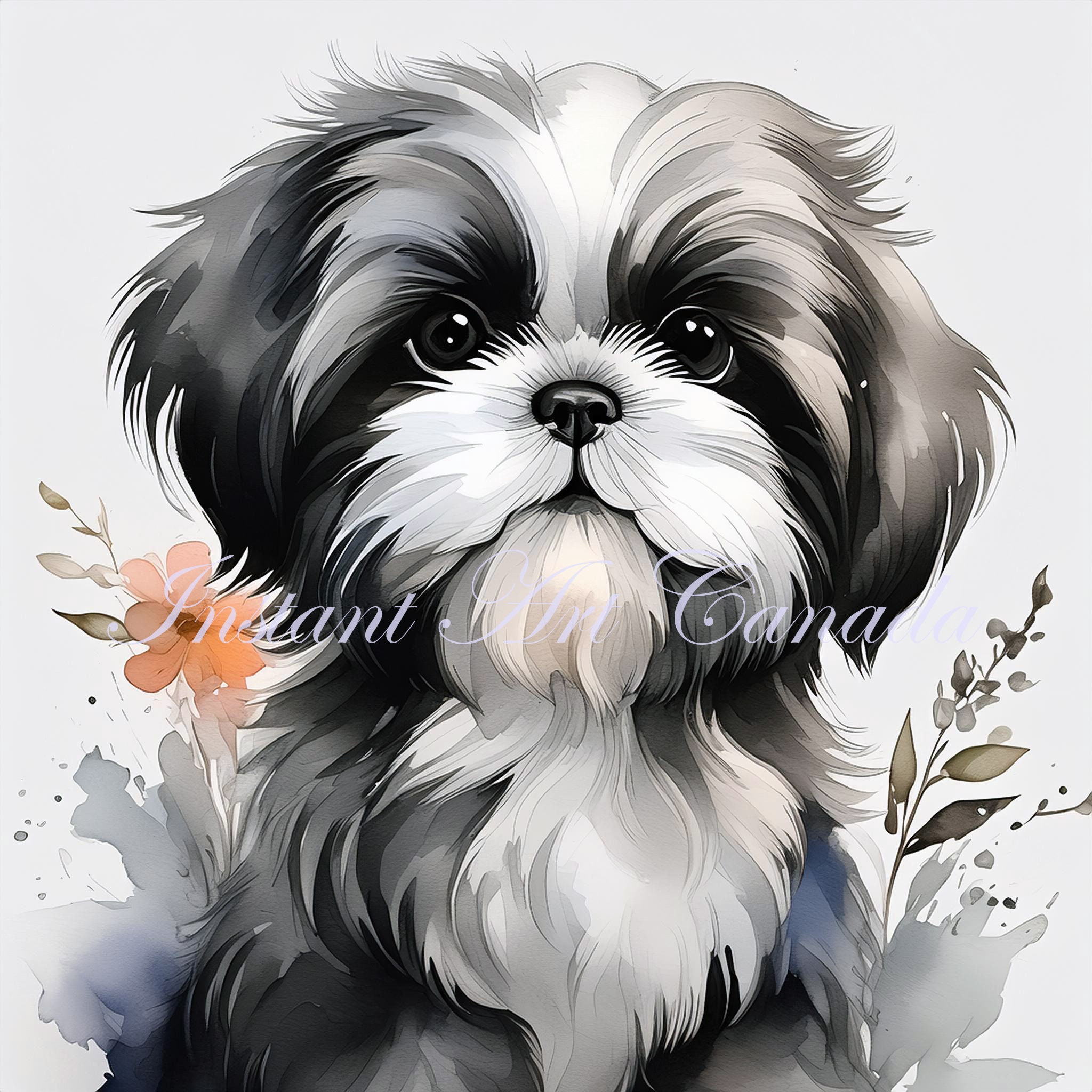 Black and White Shih Tzu Puppy Clipart 5 Pack High Quality Jpgs Instant ...