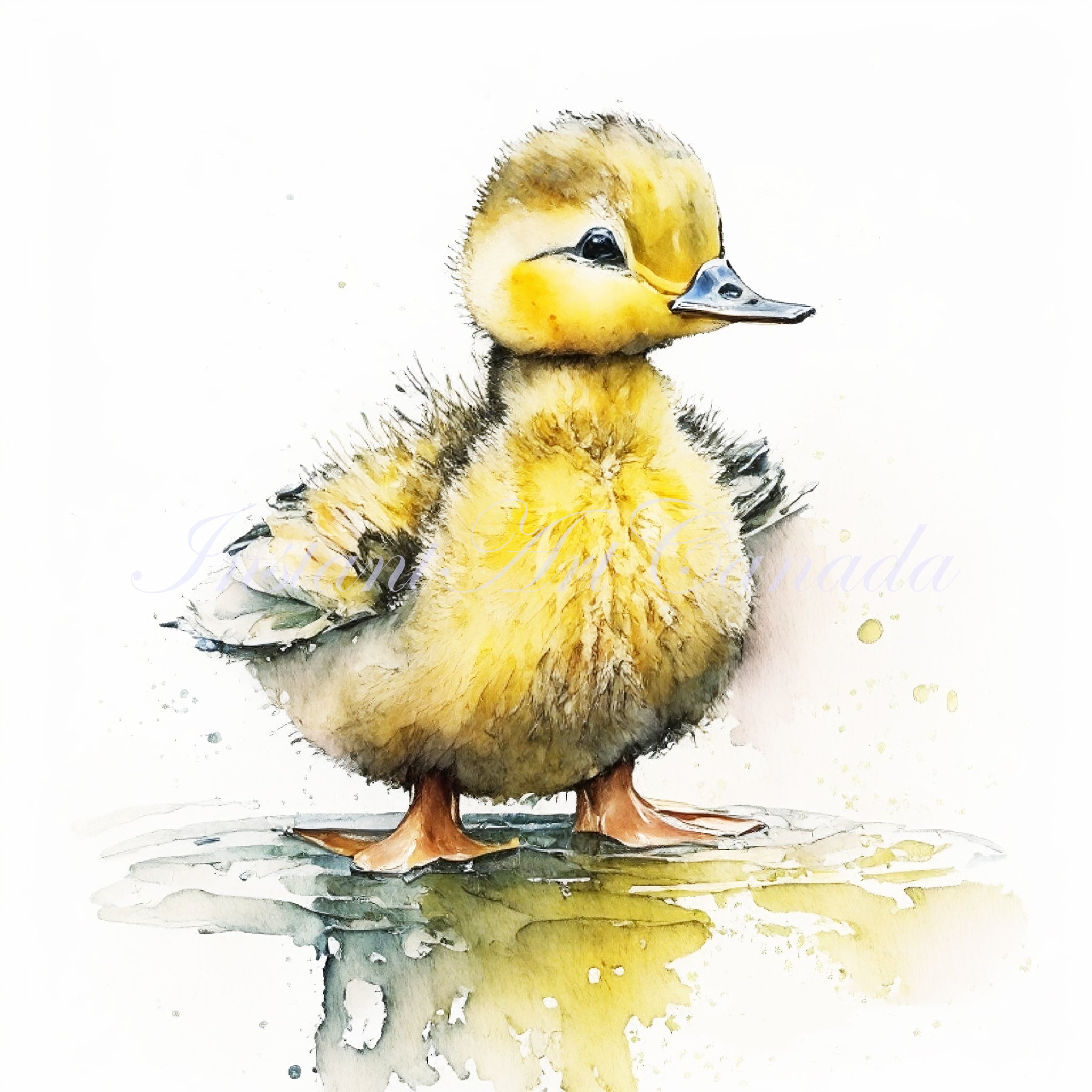 Baby Duck Clipart - 5 Pack - High Quality Jpgs - Instant Digital ...