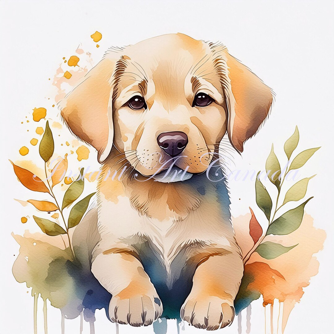 Yellow Labrador Puppy Clipart 5 Pack High Quality Jpgs Instant Digital ...