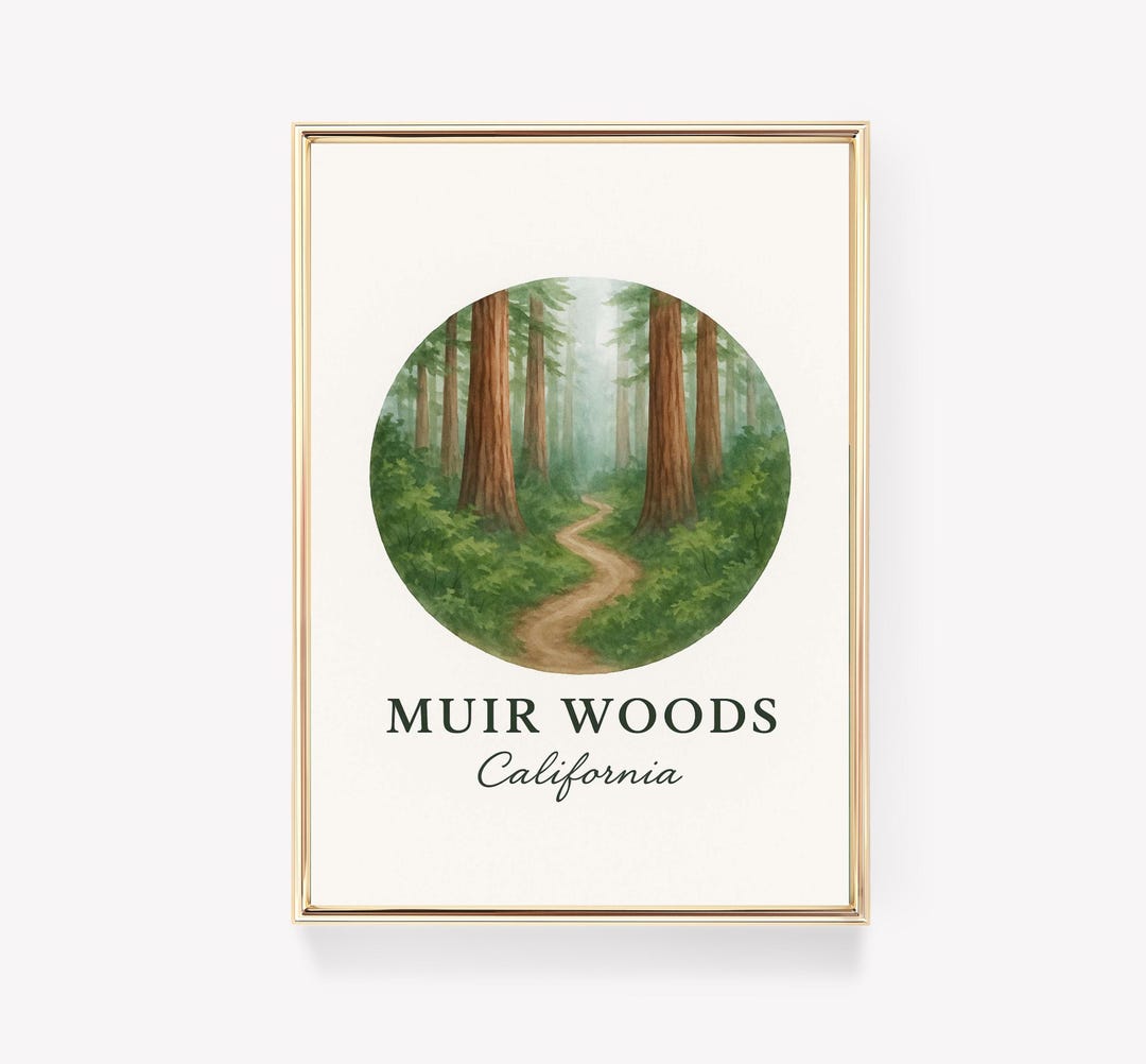 Muir Woods Travel Poster, California Wall Art, Muir Woods Print ...