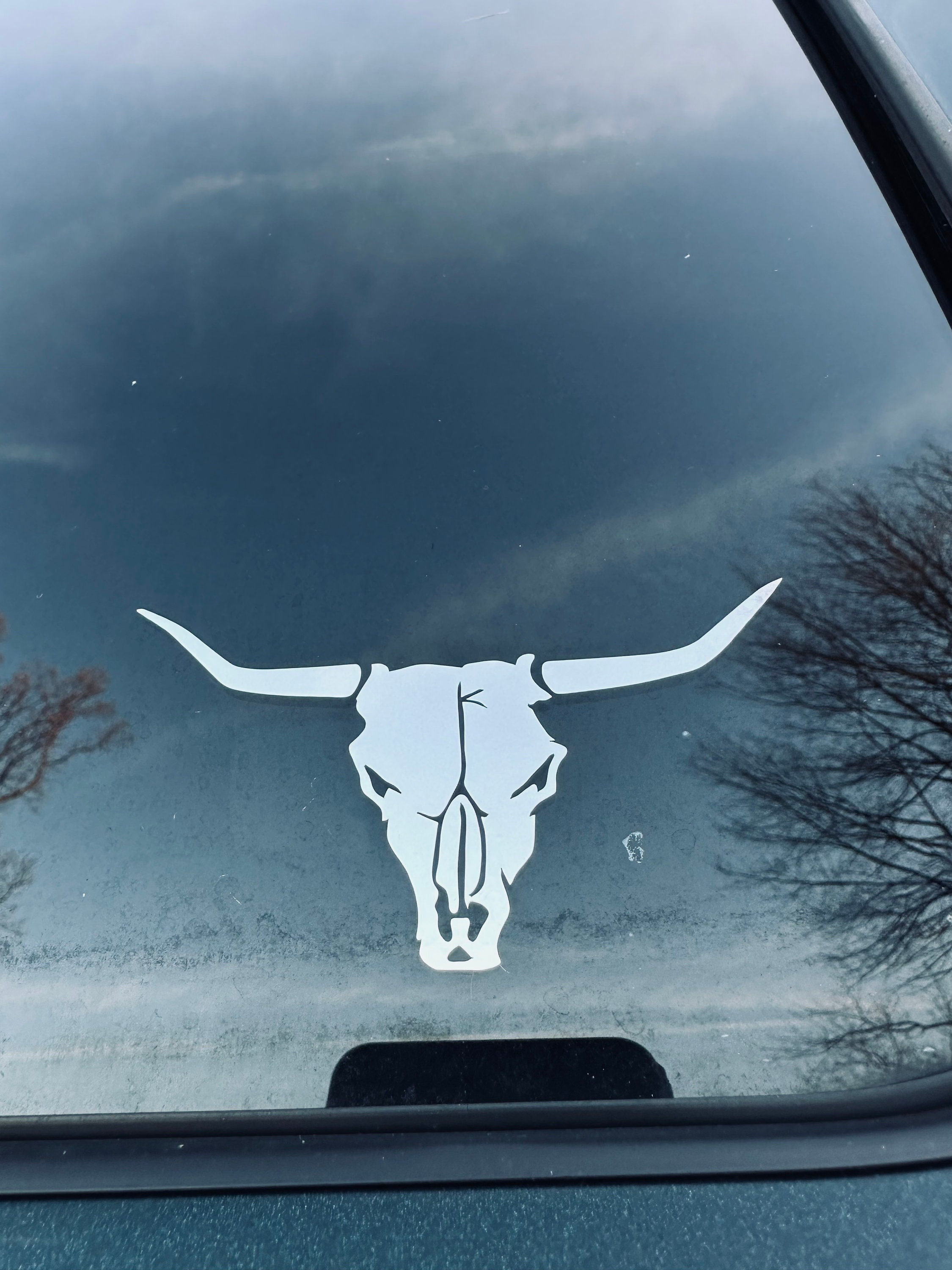 Longhorn Bull Sticker (20 Colors) Vinyl Decal Sticker for Car Truck ...