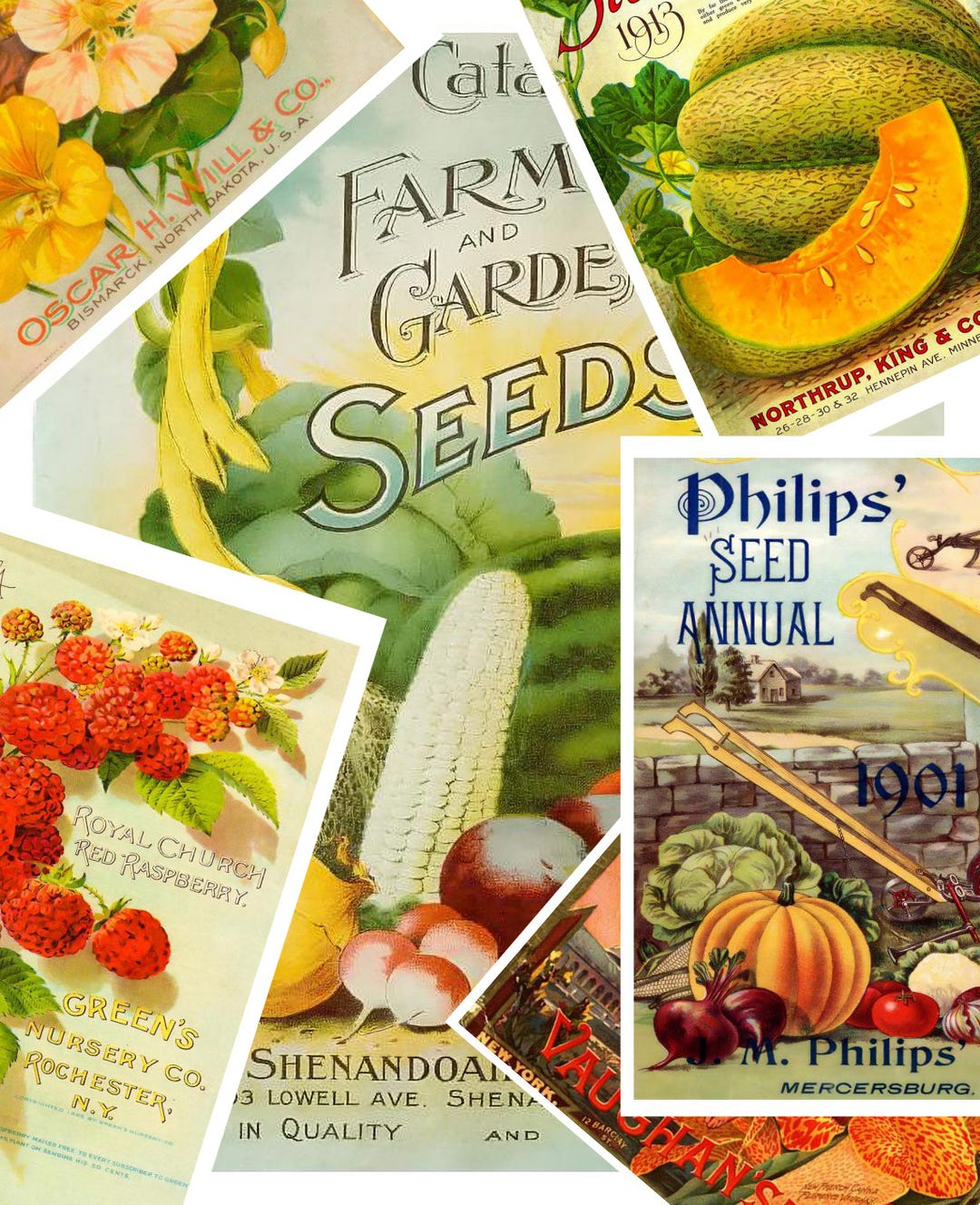 Printable Vintage Seed Catalog Covers – Set of 6 Antique 8x10 Prints ...