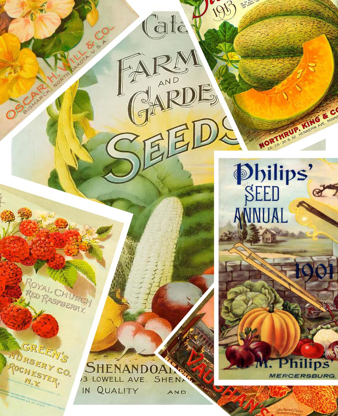 Printable Vintage Seed Catalog Covers – Set of 6 Antique 8x10 Prints ...