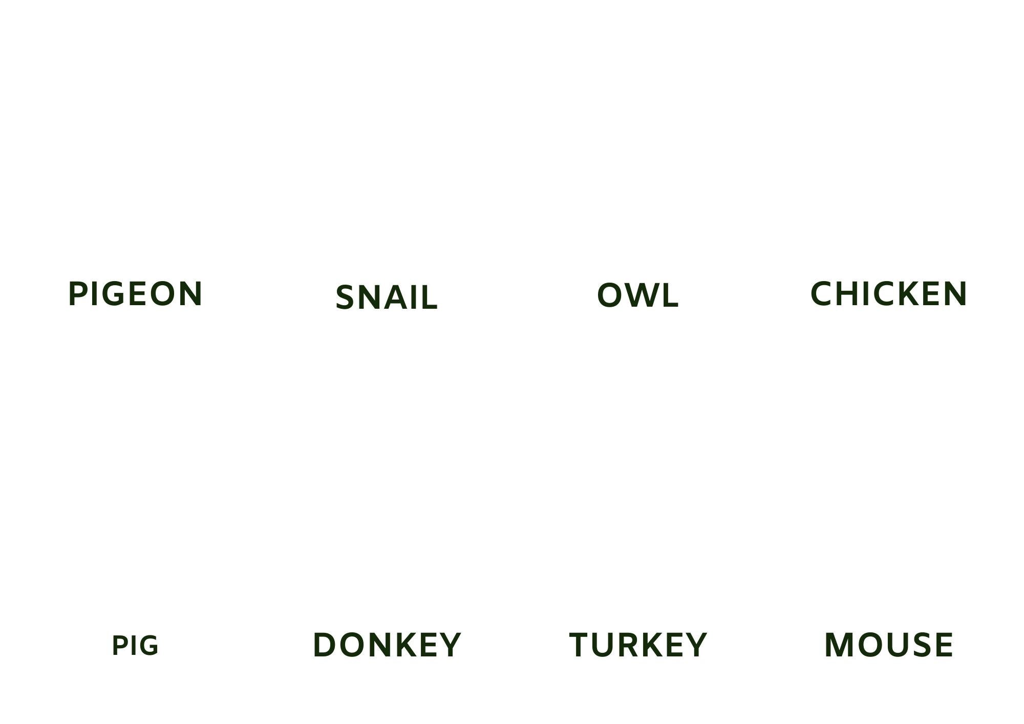 FARM Animals Flash Cards With FREE Coloring Book Montessori Cards Flash ...