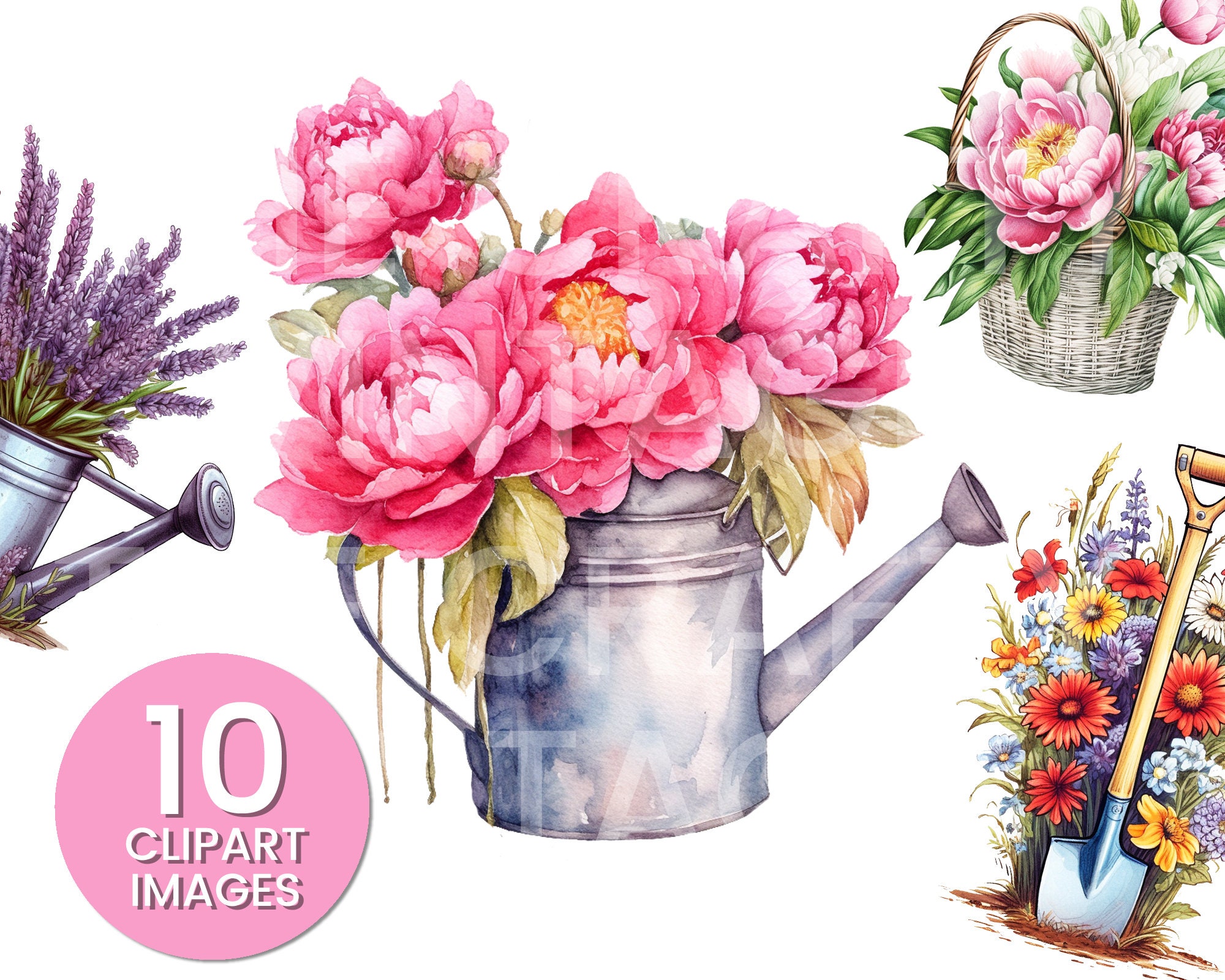 10 Garden Love Isolated Clipart Collection Digital Download - Etsy